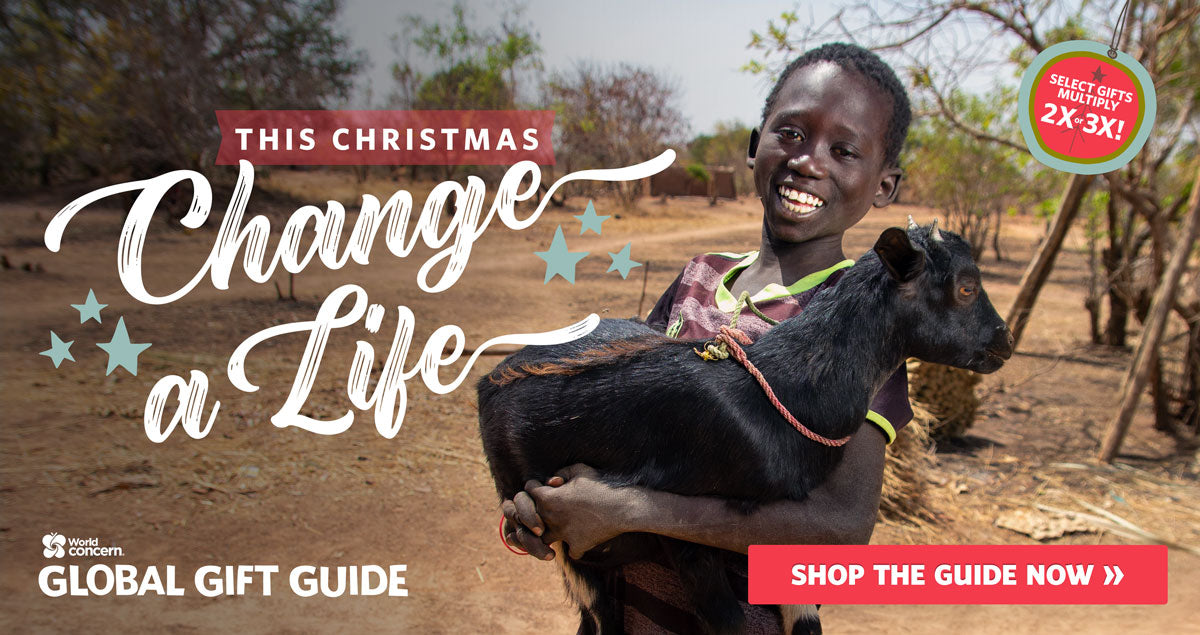 How It Works | World Concern Global Gift Guide