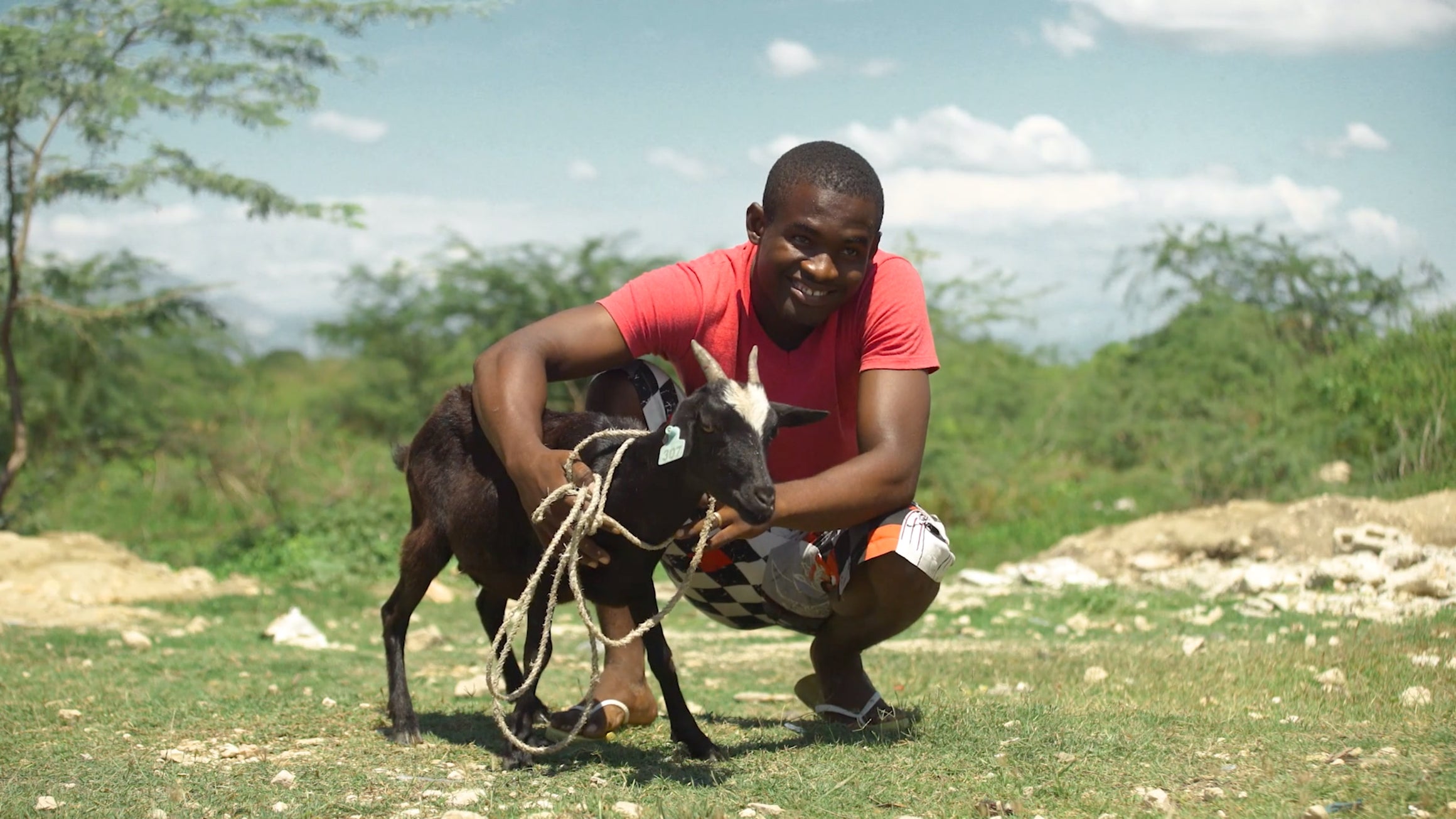 How It Works | World Concern Global Gift Guide