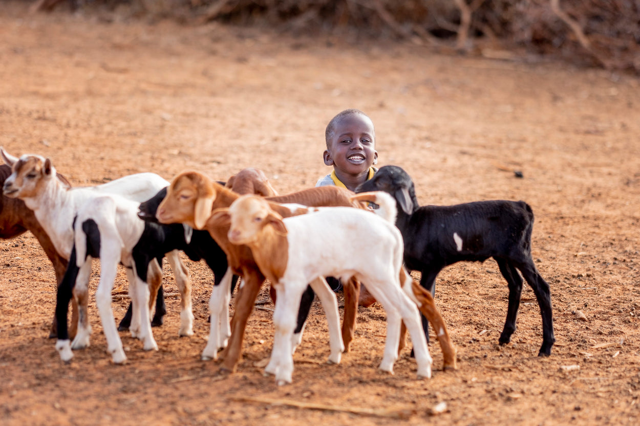 Give a Gift and Change a Life! — Global Gift Guide