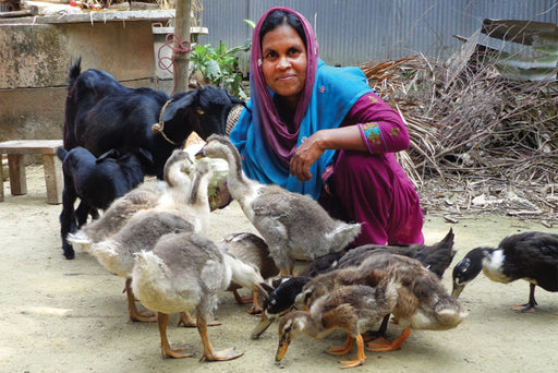 Products — Global Gift Guide