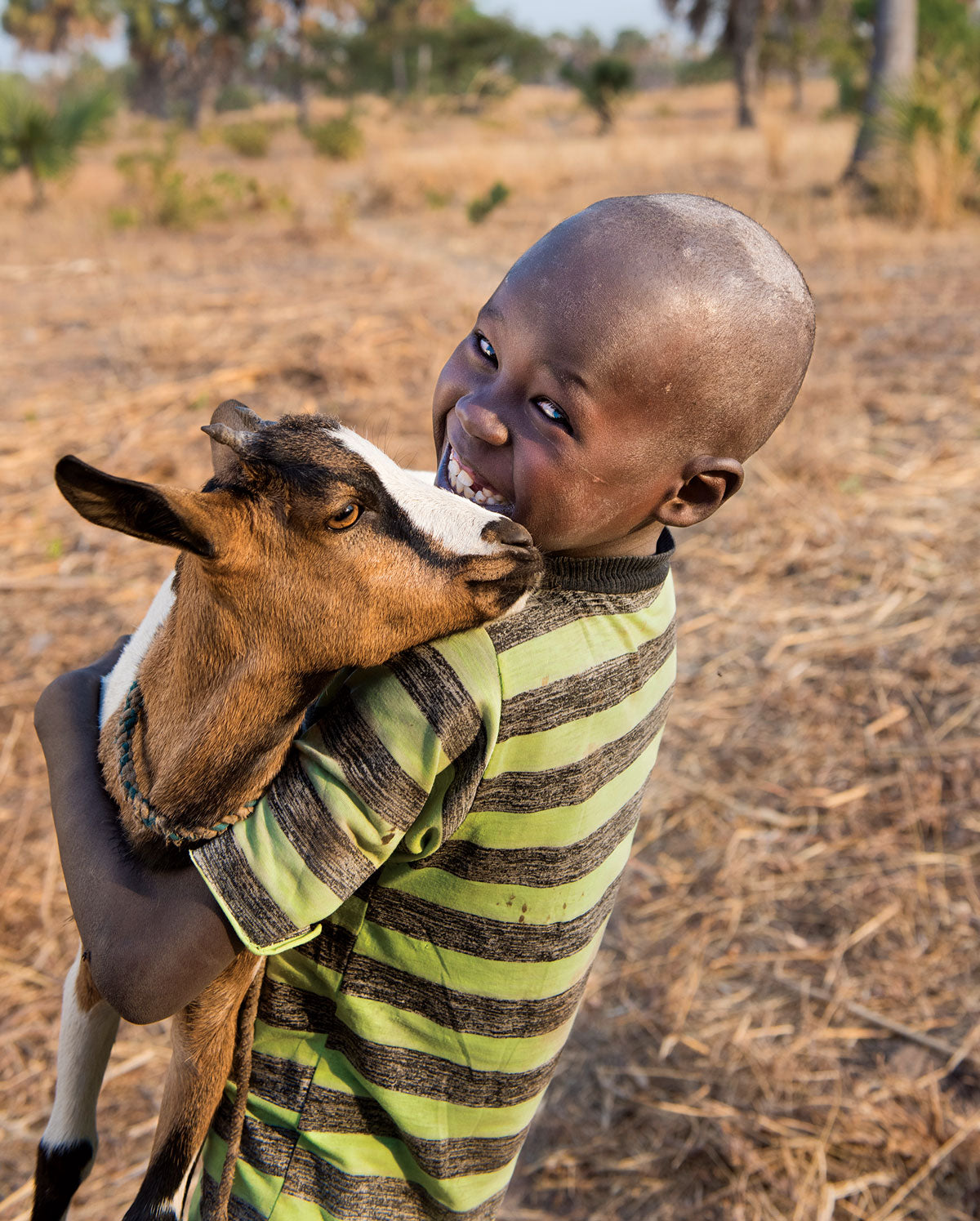 Goat | World Concern Global Gift Guide